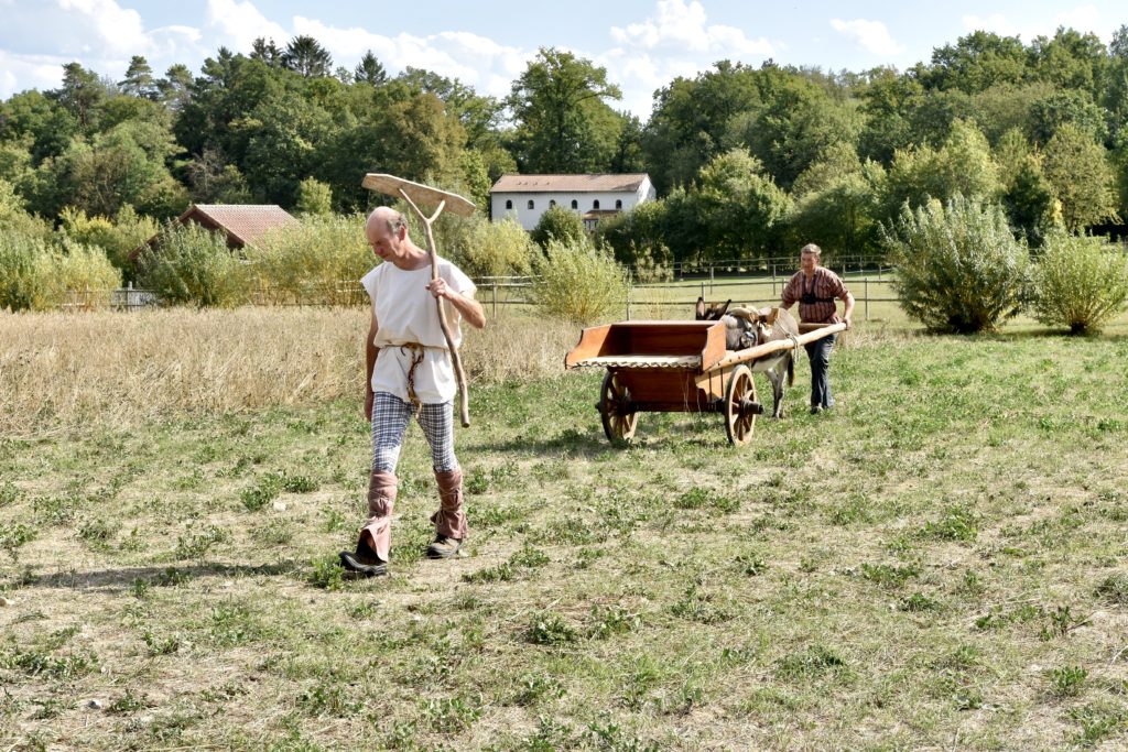Vallus, les dents de la Terre – Les Printemps de l'Archéologie